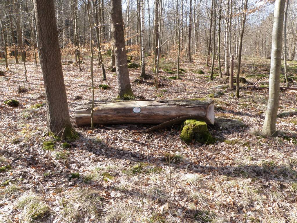 Liv i död ved – Delsjöområdets historia